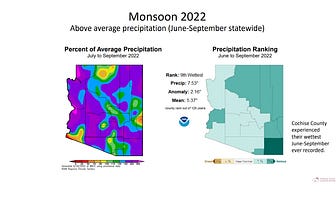 Archive - Cholla Express