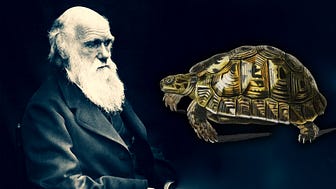 Atheists for Liberty News | Substack