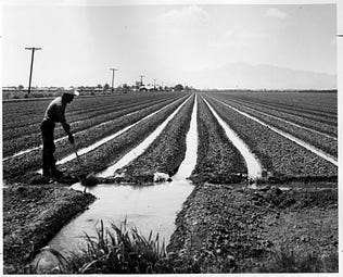 Archive - Cholla Express