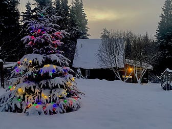 Shepherd Alaska - Monitoring Change in Extraordinary Times | Substack