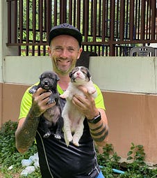 10,000 Dogs | Niall Harbison | Substack