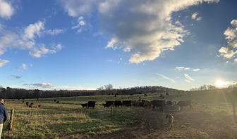 Slowdown Farmstead | Tara | Substack