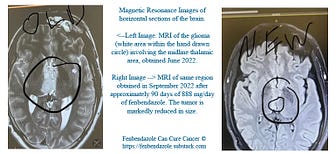 Fenbendazole Can Cure Cancer | Ben Fen | Substack