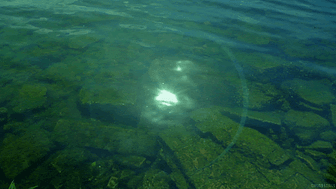 Stuff You Should | Laura Reineke | Substack