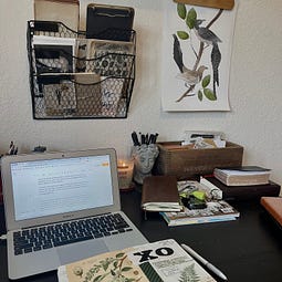 Tresta Payne | Substack