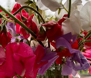 tidewanderings | India Flint | Substack