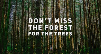 Eye of the Storm | Athena Walker | Substack