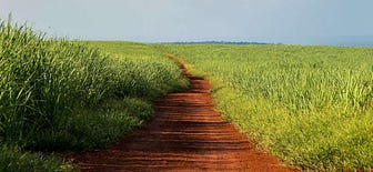 Rum Wonk with Matt Pietrek | Substack