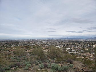 Cholla Express | Billy Robb | Substack