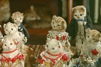 Reality's Last Stand | Colin Wright | Substack