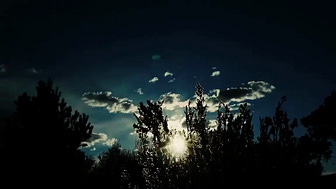 Art, Wilderness, Mystic | Substack