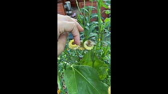 Ashley Heider Daly | Substack