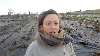 Picked at Dawn | Suzie Rush | Substack