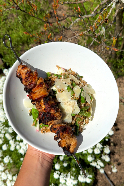 Spring Forward, A Menu - by Zoe Barrie Soderstrom