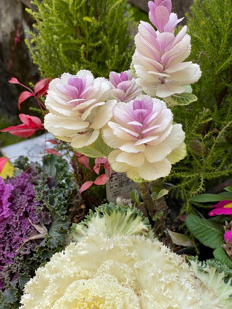 a taxonomy of sighs - by julie heng