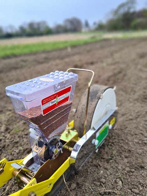 Flax Field Lab - by Jossie - Gather Market Garden