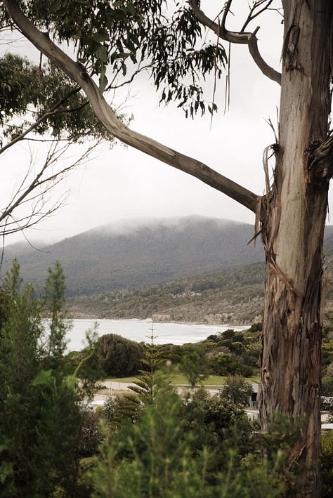 Polyamorous - Kat River