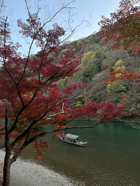 Two weeks in Japan - by Robin & Amos - Robin’s Substack