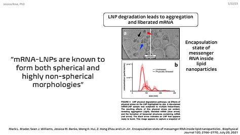 Damages from the modified mRNA-containing LNPs – from vessels to brain ...