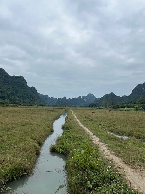 Vietnam and Tokyo - by Robin & Amos - Robin’s Substack