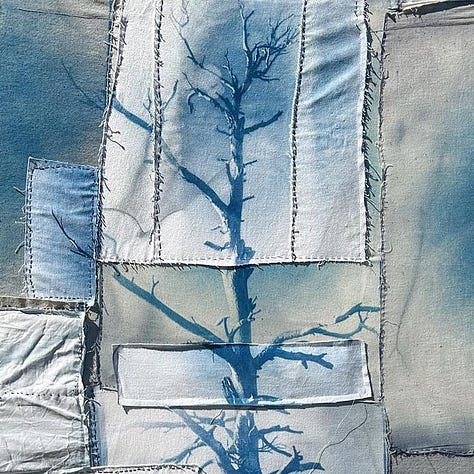 Exploring Cyanotypes: A Beginner’s Guide to This Unique Cameraless ...