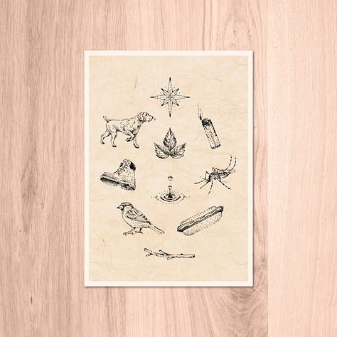 New Merch Drop (Coupon Inside!) - by Becki Shu