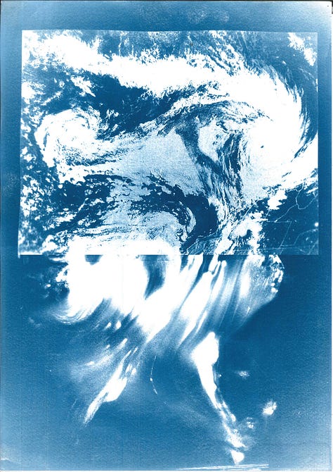 Exploring Cyanotypes: A Beginner’s Guide to This Unique Cameraless ...
