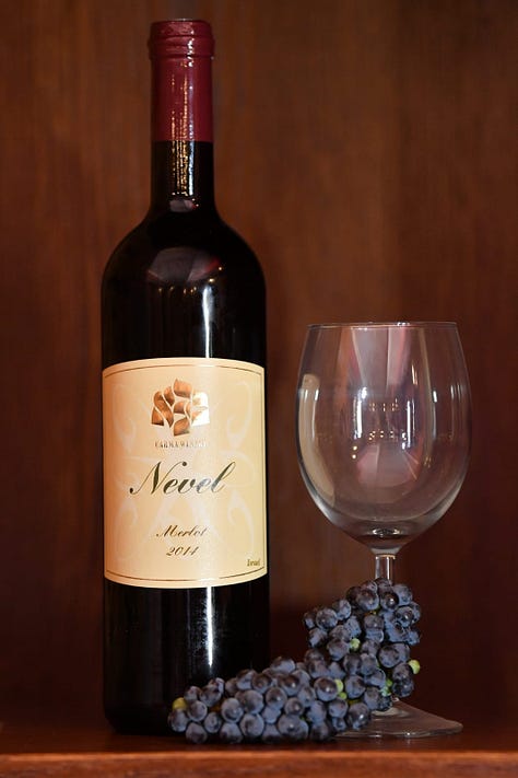 Wine from Judea & Samaria, Israel - The Nation of Israel