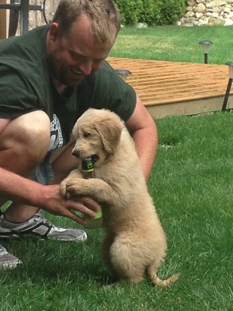 Golden Hour - by Candy Downs - Joint Custody