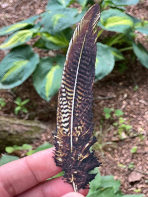 What is HueForge and How Did You Do That? - by Horn & Rhode