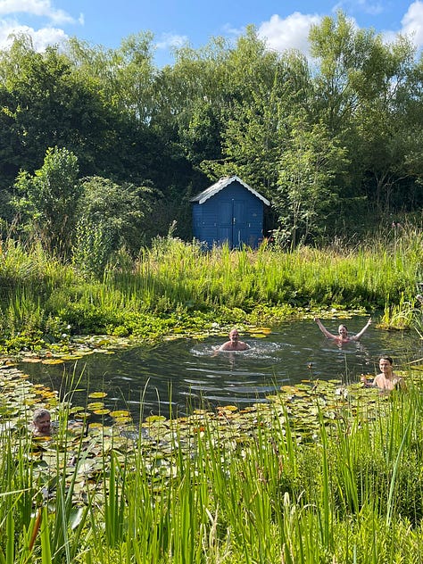 DIY Courses - Organic Pools by David Pagan Butler