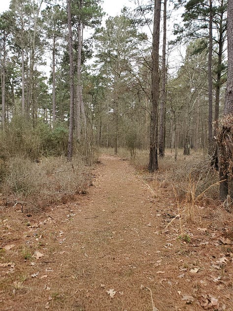 An Overnight Stop at Martin Creek Lake State Park