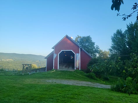 Begin again - by Rabbi David Curiel - Grow and Heal