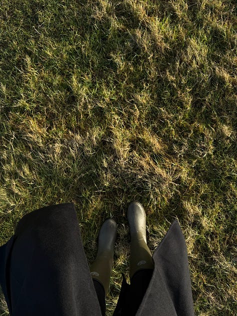 LONDON TRAVEL GUIDE - by Molly Kidd - Kiddred Spirits