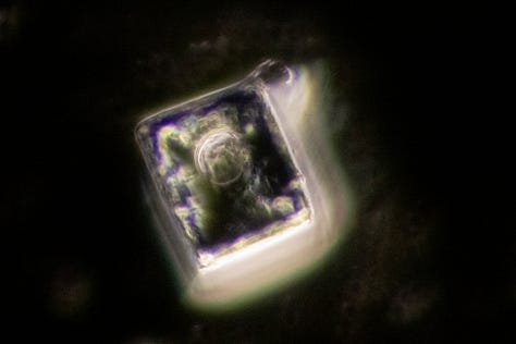 The Usual Suspects: A Field Guide to Common Nanos under the Microscope