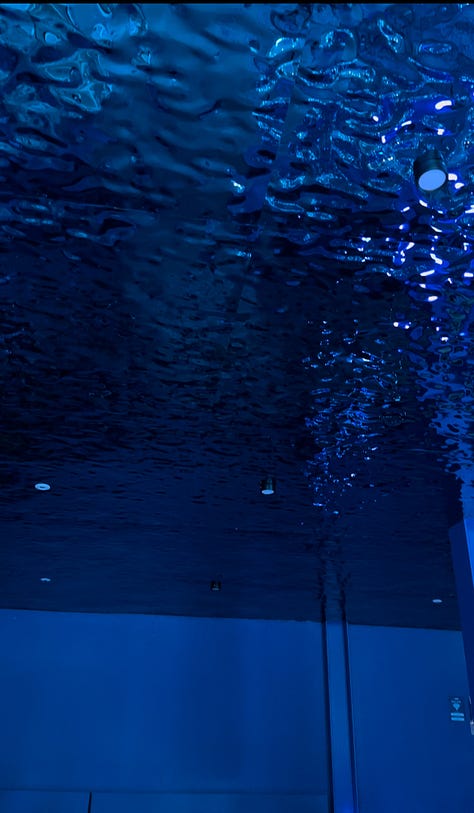 Seoul Cafe Review: An ‘Underwater’ Cafe Called Overdeep