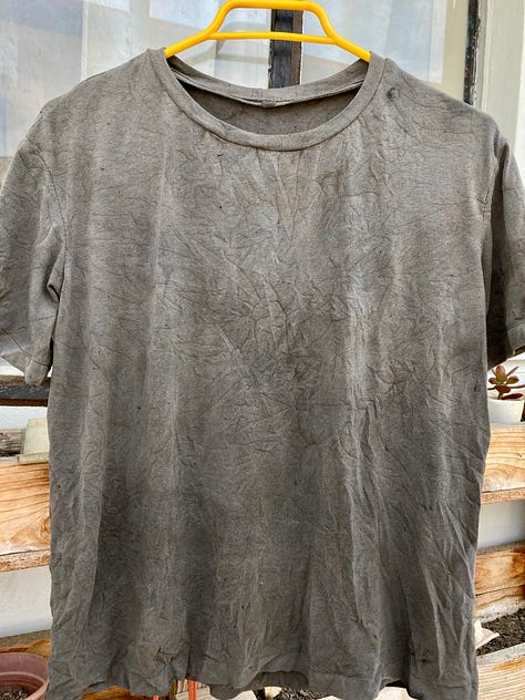 Slow Color - by Sara Meinecke