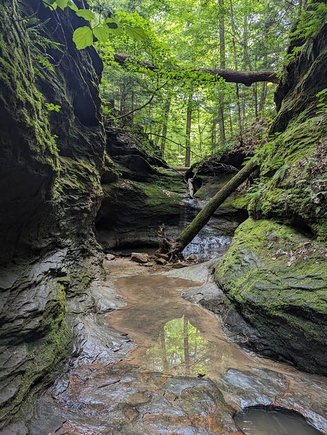 A Camping Weekend at Turkey Run - by Sarah Styf