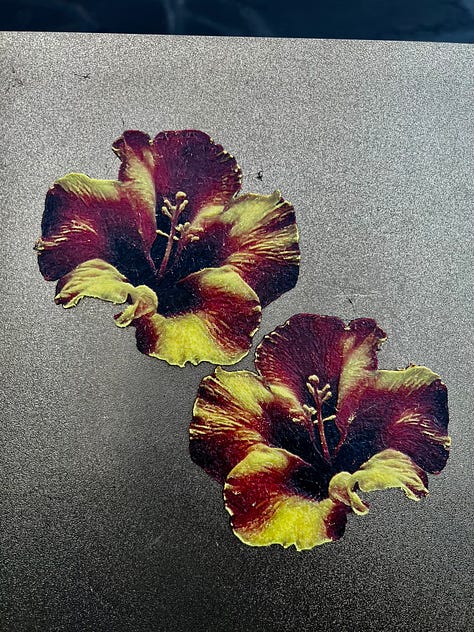 What is HueForge and How Did You Do That? - by Horn & Rhode