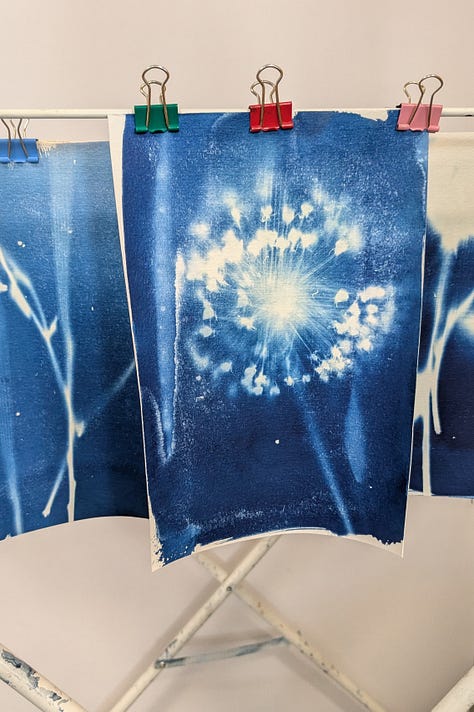 Exploring Cyanotypes: A Beginner’s Guide to This Unique Cameraless ...
