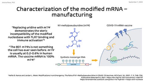 Damages from the modified mRNA-containing LNPs – from vessels to brain ...