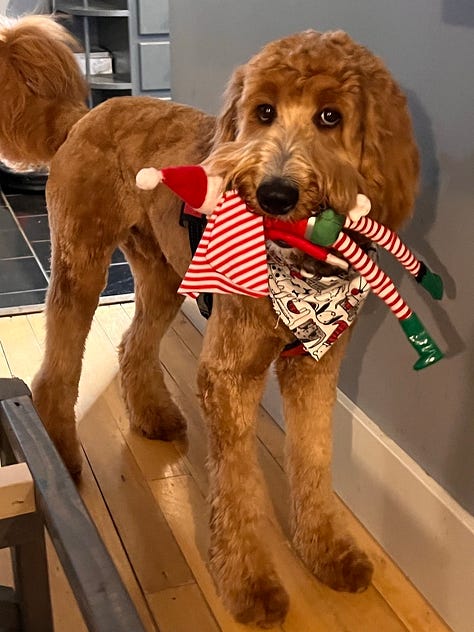 Golden Hour - by Candy Downs - Joint Custody