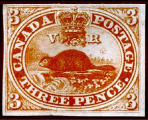 the mighty beaver — not just a cute dam-builder, but a national icon!