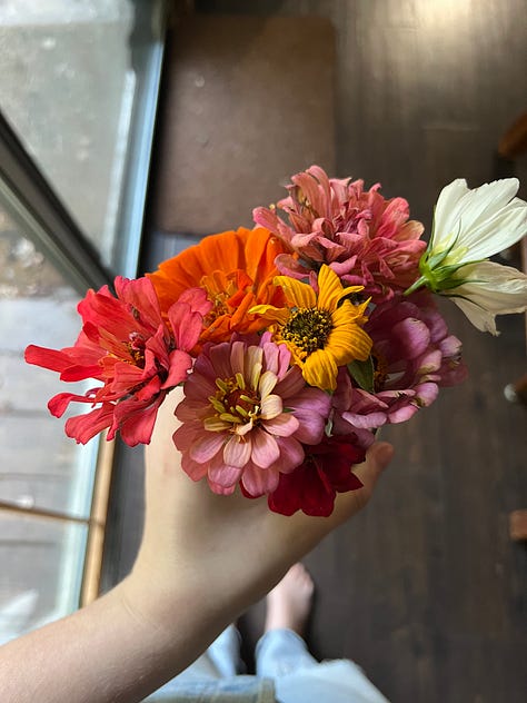 November 2024: Monthly Check-In - by Izzy & Kyle