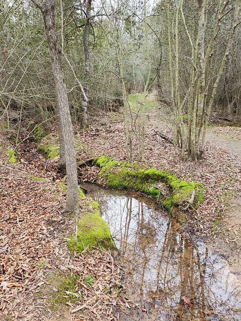 An Overnight Stop at Martin Creek Lake State Park