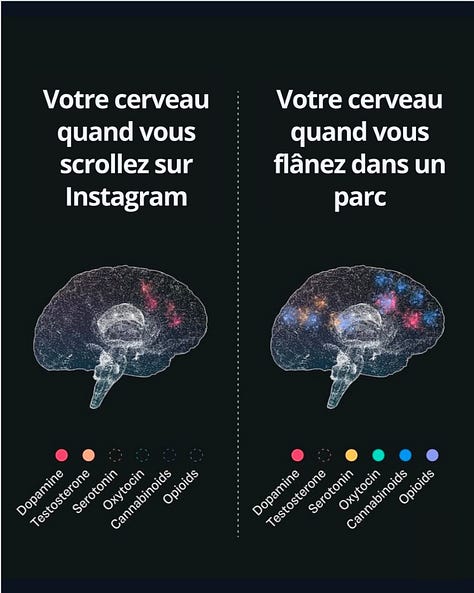 Newsletter Sydologie / Le Bahut | Sylvain Tillon | Substack