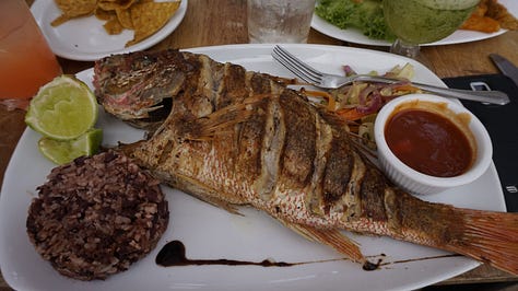 Behind the Apron - by Ana Sofía - Behind the Apron