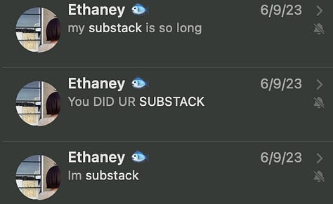 i think you should start a substack - by Viv Chen