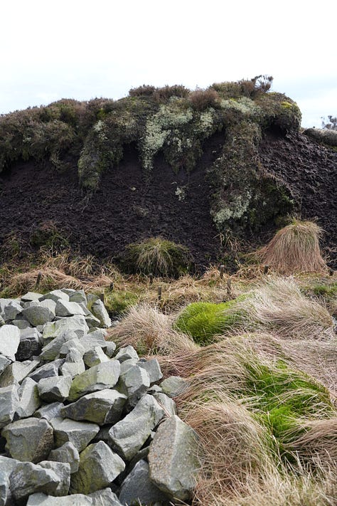 Peat blanket bog restoration in the Yorkshire uplands