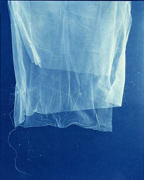 Exploring Cyanotypes: A Beginner’s Guide to This Unique Cameraless ...